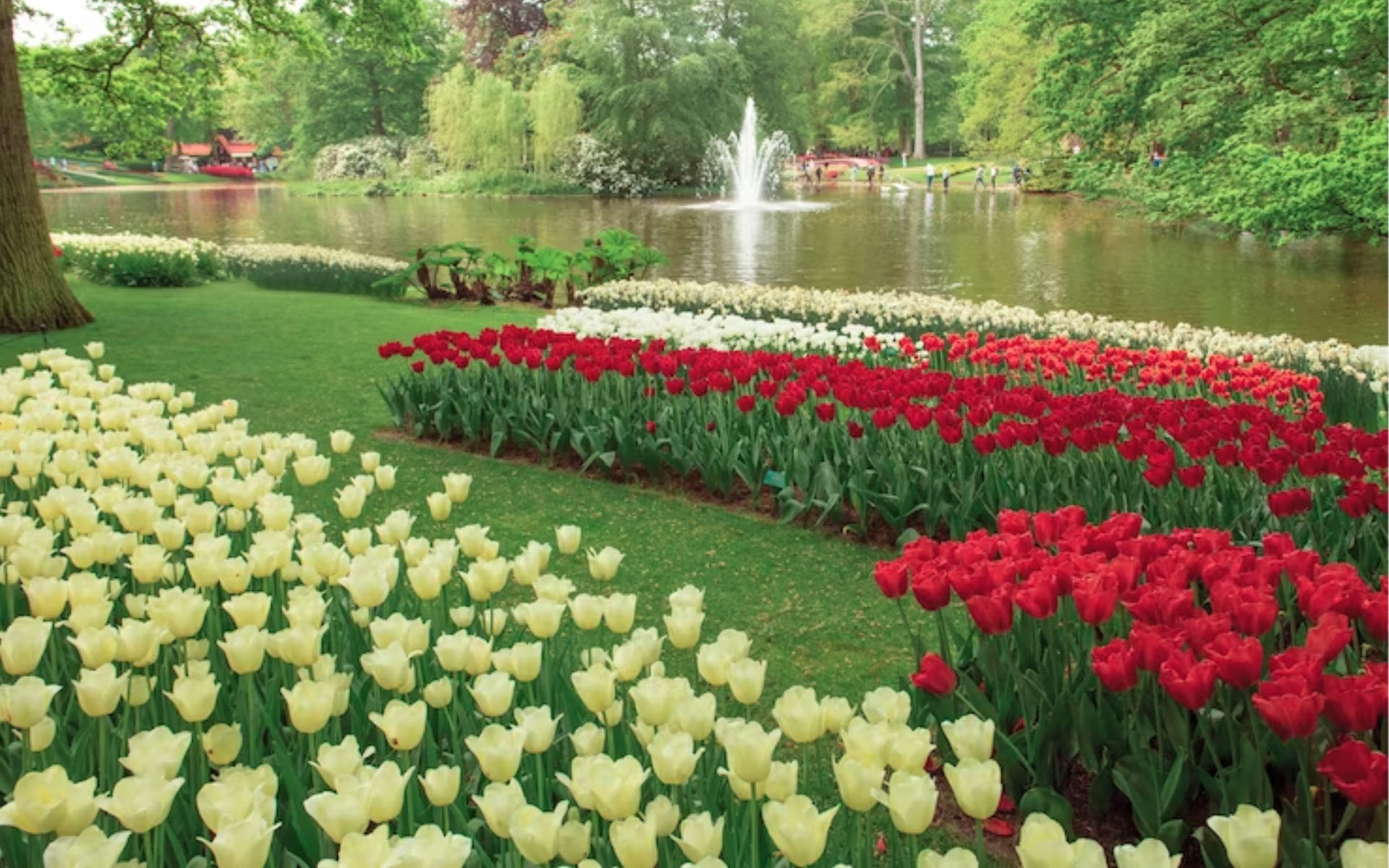 Home - Haryali Landscape company in Islamabad